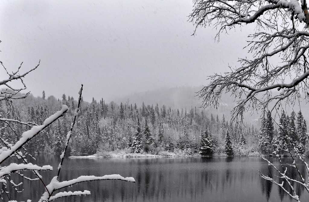 Case Study - Goliath Gold Project