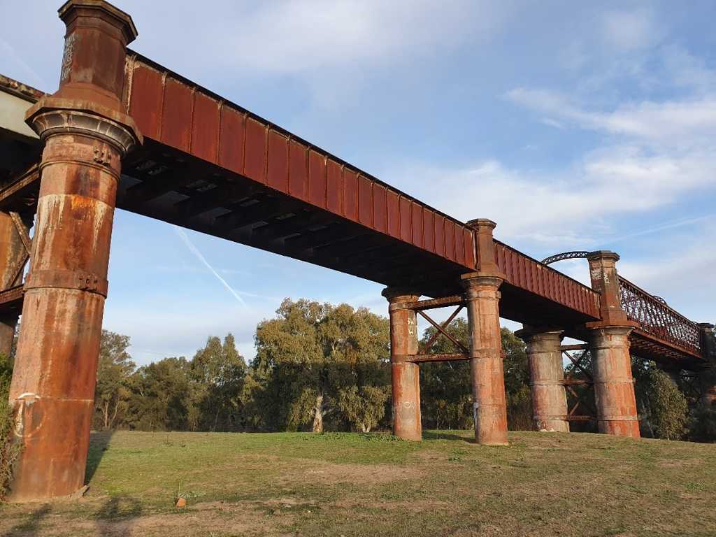 Case Study - Cowra Lines Reinstatement Feasibility Study